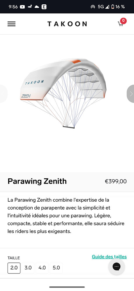 BRM parawing 2025 alternatives : Born-kites, Gong, Ensis, (...) - #21 ...