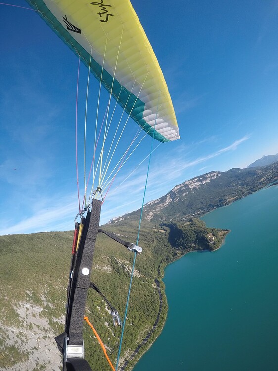 BRM parawing 2025 alternatives : Born-kites, Gong, Ensis, (...) - Wing ...